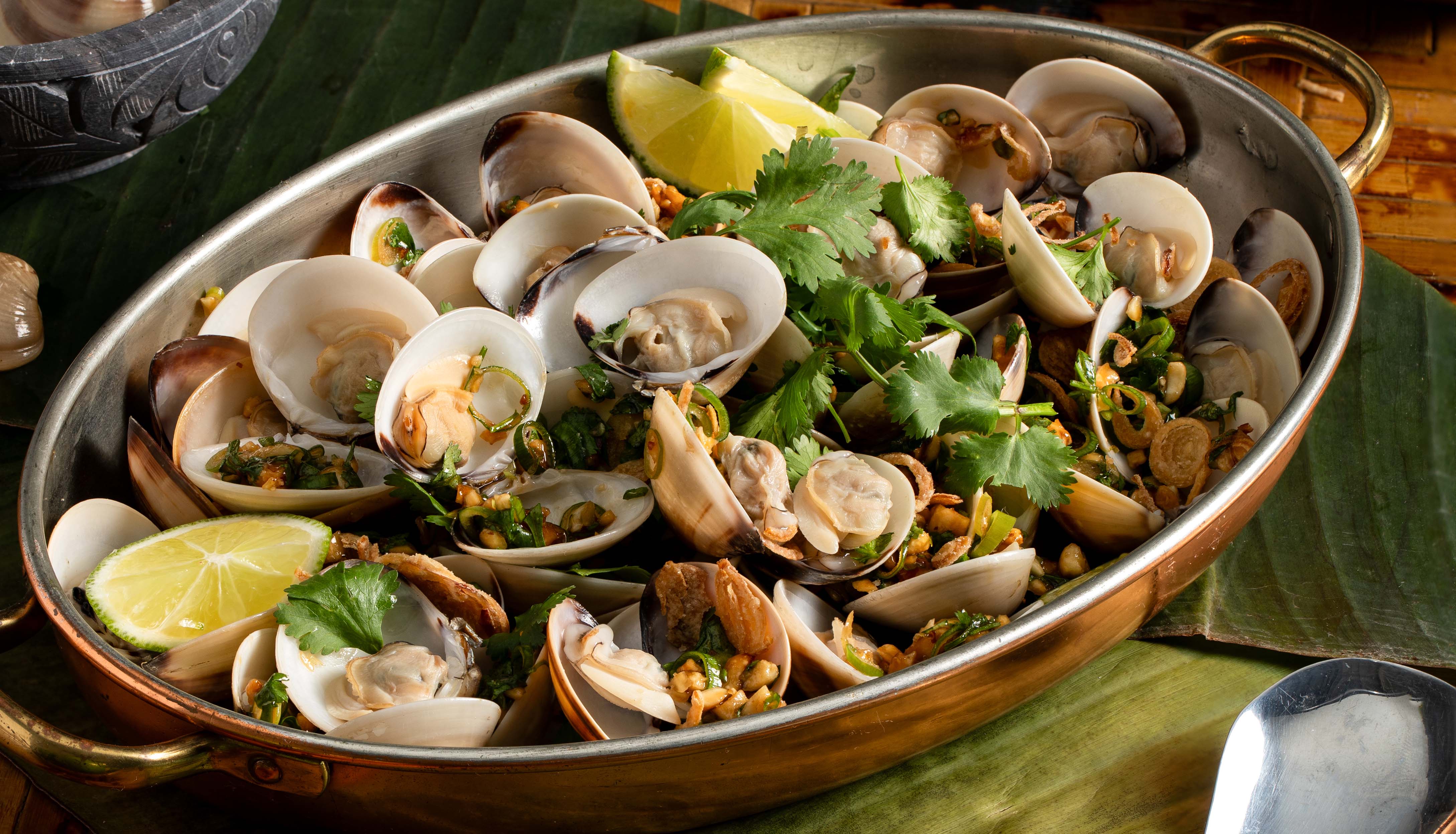 The Town Dock's Clams | Wholesale Seafood | Whole Shell Clams